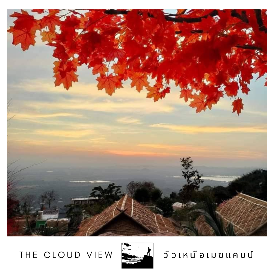 Gallery – The Cloud View วิวเหนือเมฆแคมป์ เขายายเที่ยง